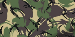 British DPM | Combat Uniforms & Accessories
